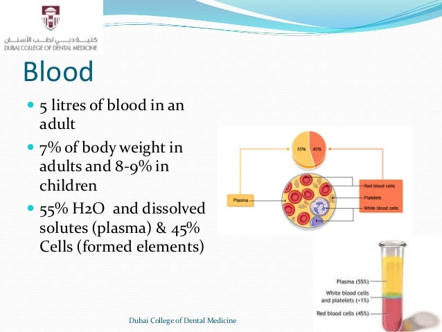 The blood core final