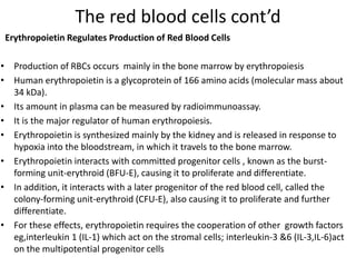 respiration.....The blood MBBS 200L.pptx | Blood Disorders | Diseases ...