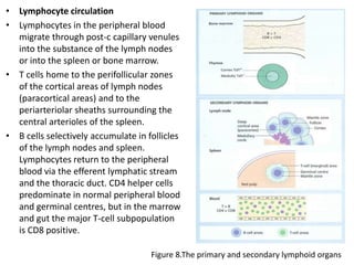 respiration.....The blood MBBS 200L.pptx
