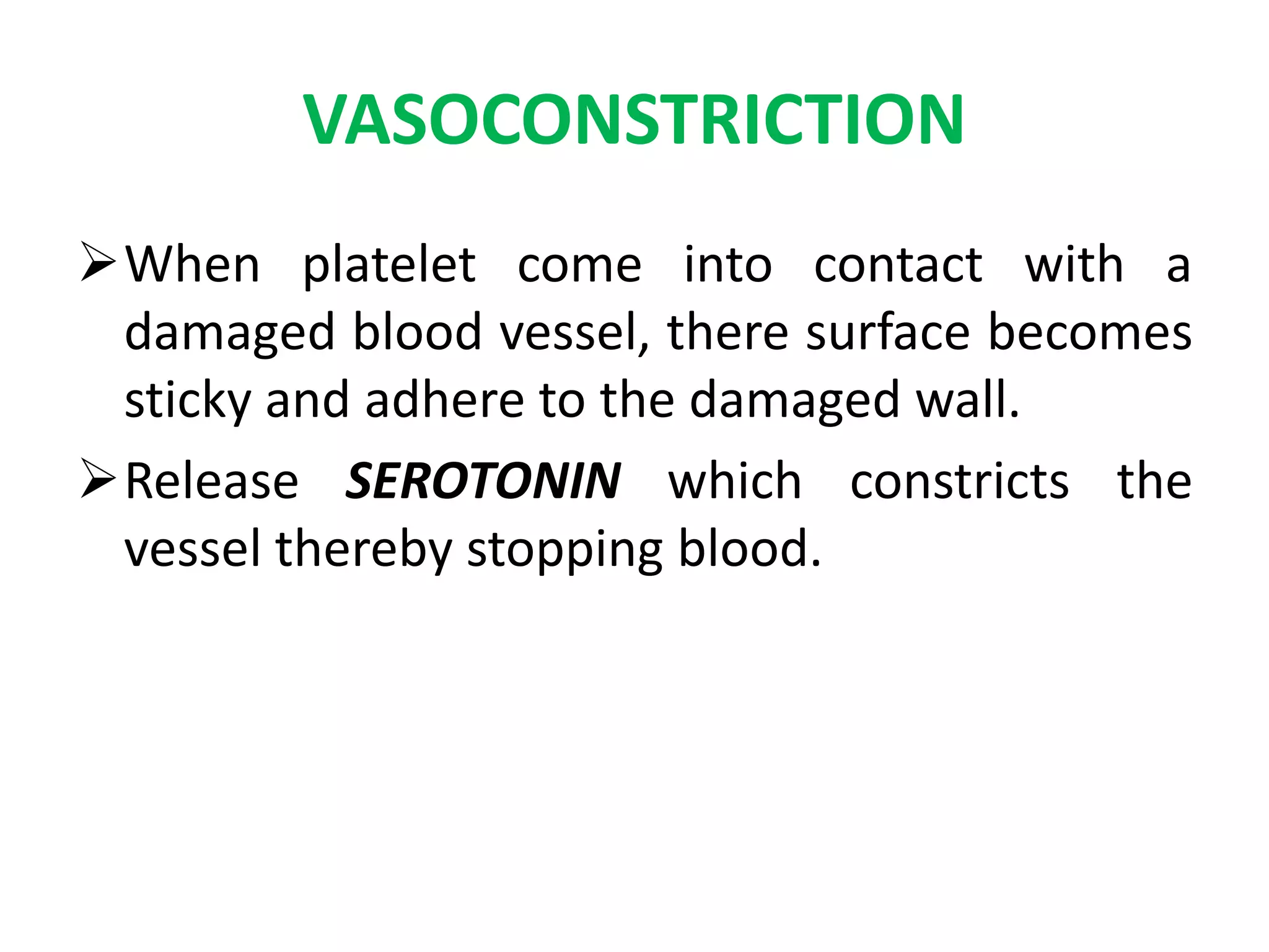 THE BLOOD PPT.pptx
