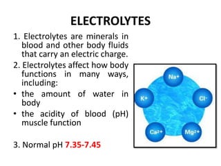 THE BLOOD PPT.pptx