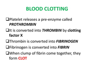 THE BLOOD PPT.pptx