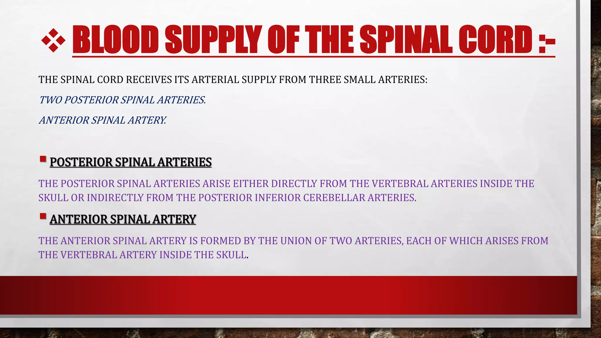 BLOOD SUPPLY OF BRAIN AND SPINAL CORD | PPTX