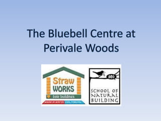 The bluebell centre at perivale woods | PPT