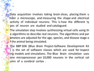 The blue brain project.docx