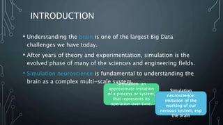 The blue brain project | PPTX | Brain and Nervous System Disorders ...