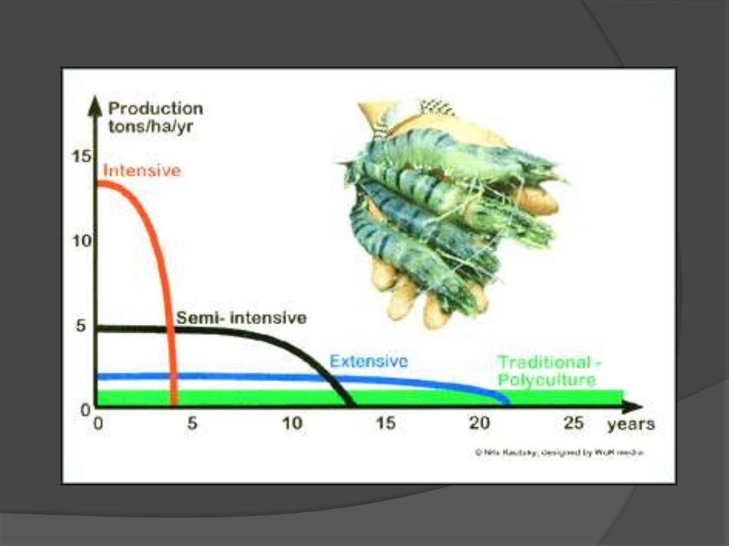 The blue revolution.pptx