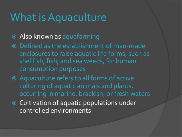 The blue revolution.pptx