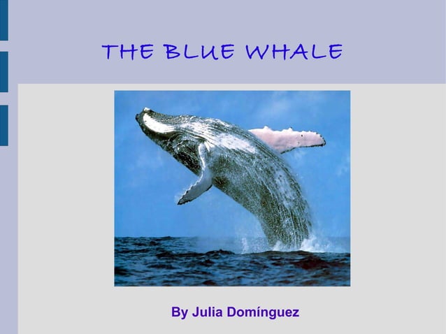 The blue whale | ODP