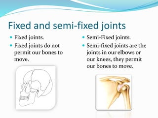 The body | PPTX | Lung and Respiratory Health | Diseases and Conditions