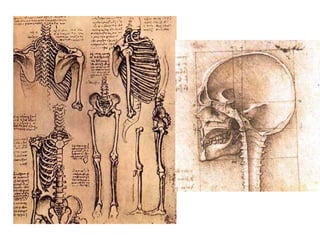 The body and realism | PPT