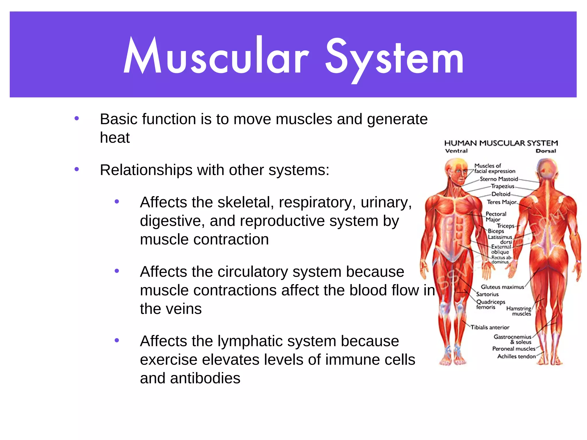 The body fs 121 | PPT | Biological Sciences | Science