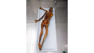 THE BODY IN THE ALPS | PPT