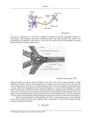 The_Body_Magnetic_The_physical_source_of.pdf | Physics | Science