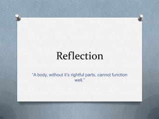 The body paragraphs | PPT
