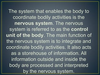 The_Body_s_Control_System.pptx;filename= UTF-8''The Body_s Control ...