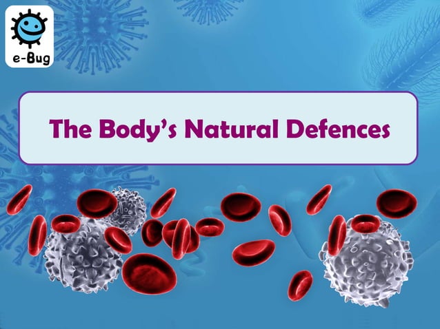 The bodys natural defences | PPT