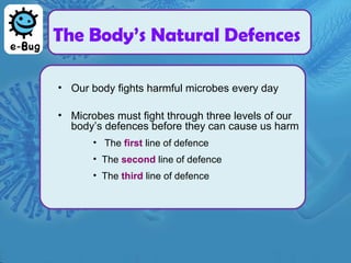 The bodys natural defences | PPT