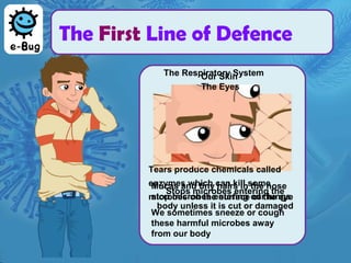 The bodys natural defences | PPT