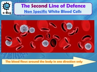 The bodys natural defences | PPT