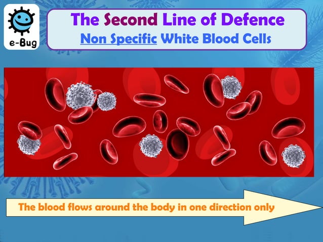 The bodys natural defences | PPT