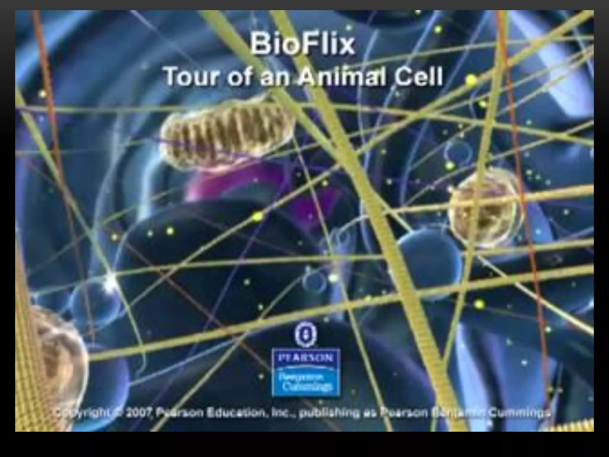 The body structure and function | PDF