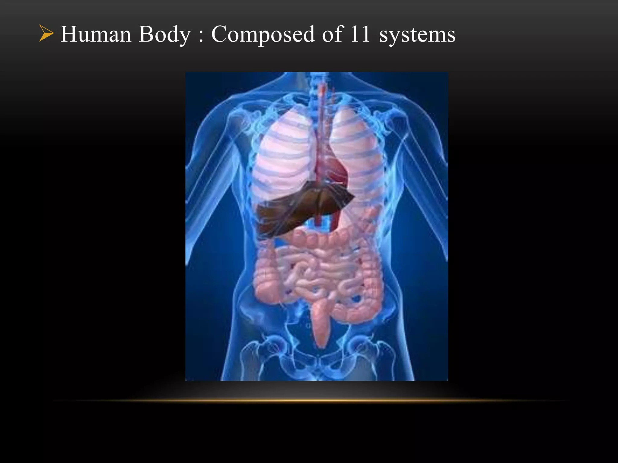 The body structure and function | PDF