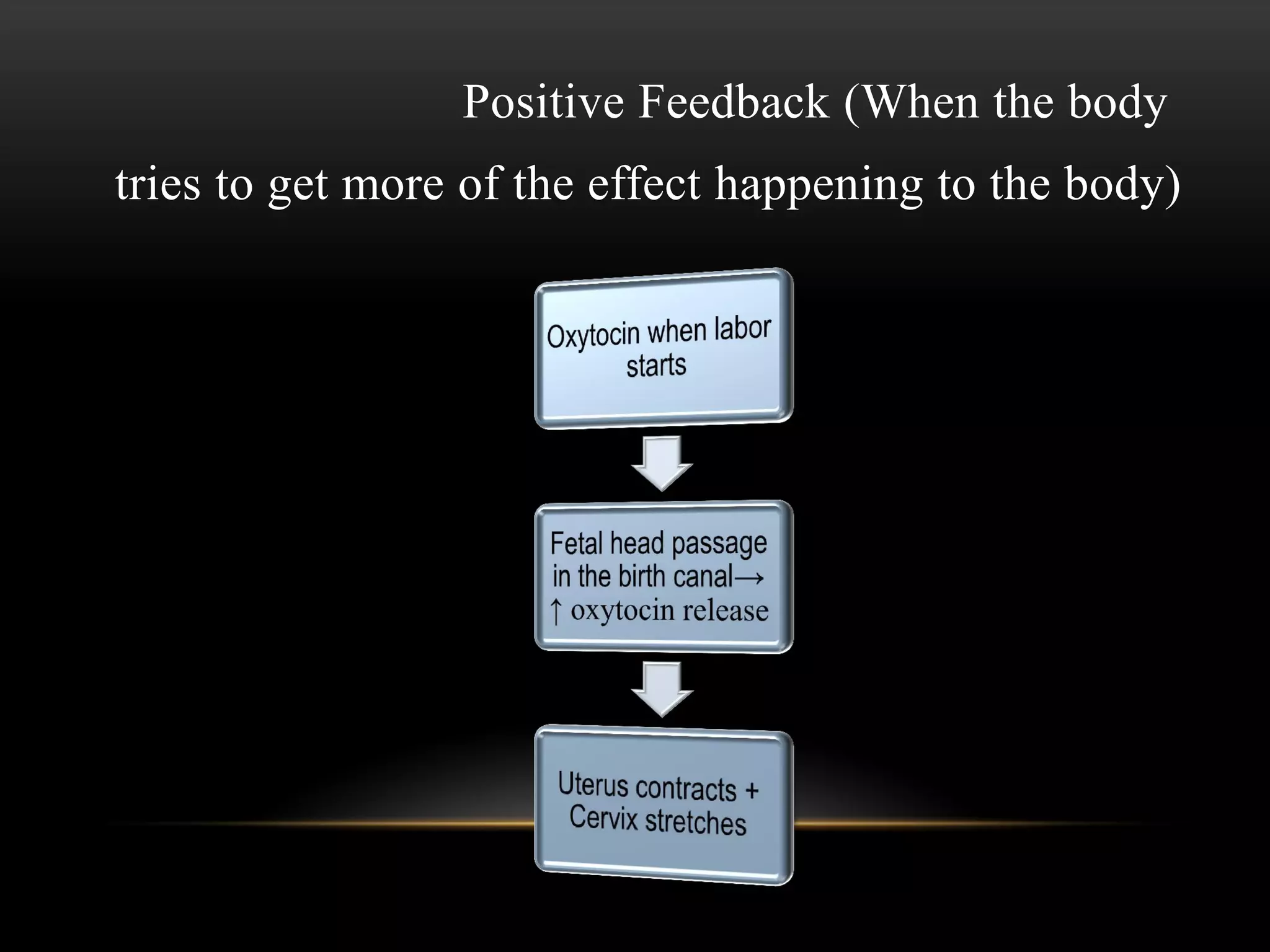 The body structure and function | PDF