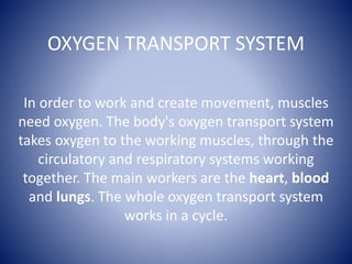 The body structure and function | PPT