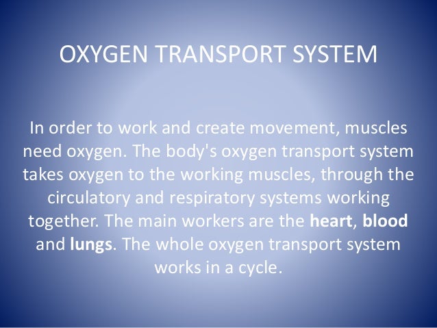the-body-structure-and-function