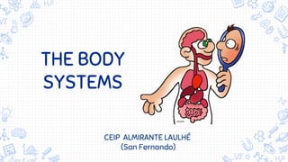 The body systems | PPTX