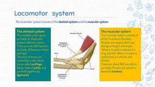 The body systems | PPTX