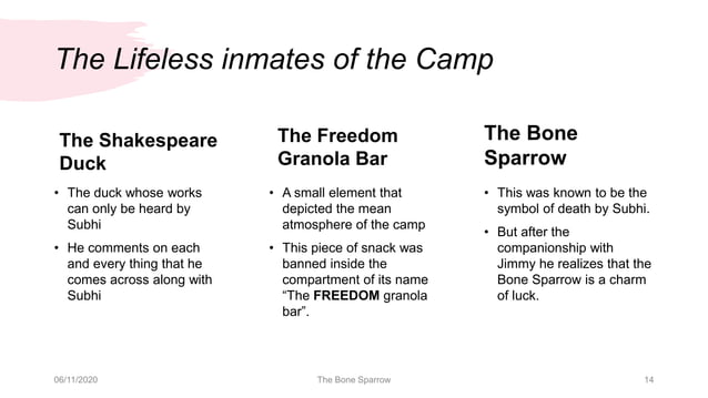 The Bone Sparrow Review | PPTX