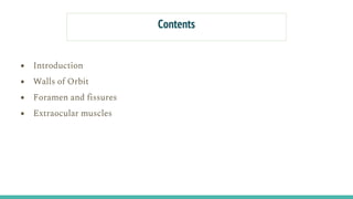 THE BONY ORBIT-3. .pptx