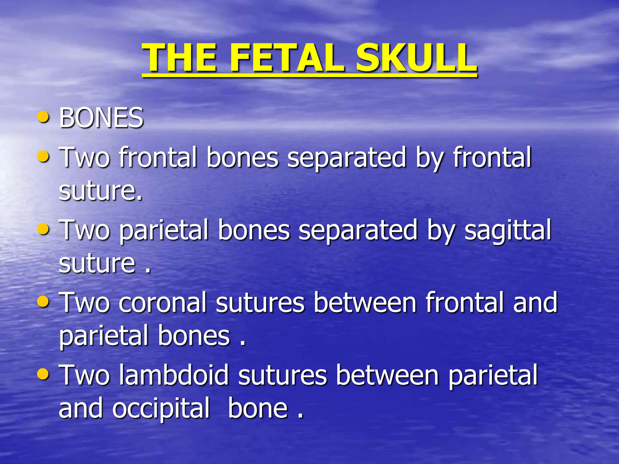 THE BONY PELVIS - Maternal pelvis and fetal skull.ppt