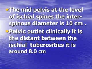 THE BONY PELVIS - Maternal pelvis and fetal skull.ppt