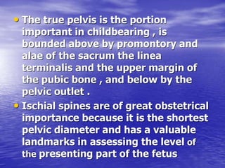 THE BONY PELVIS - Maternal pelvis and fetal skull.ppt