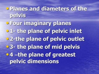 THE BONY PELVIS - Maternal pelvis and fetal skull.ppt