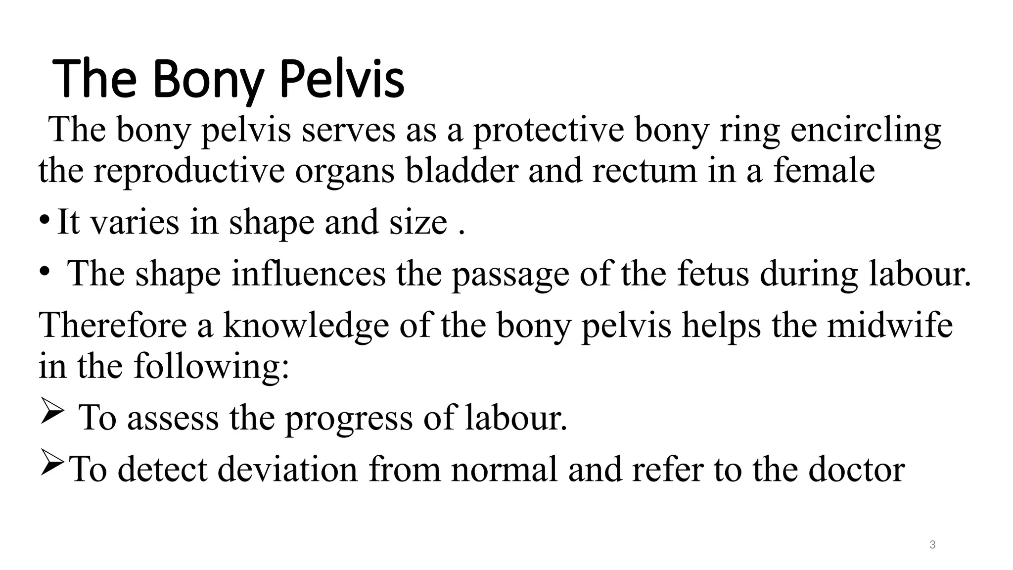 THE BONY PELVIS for all Midwifery students | PPTX
