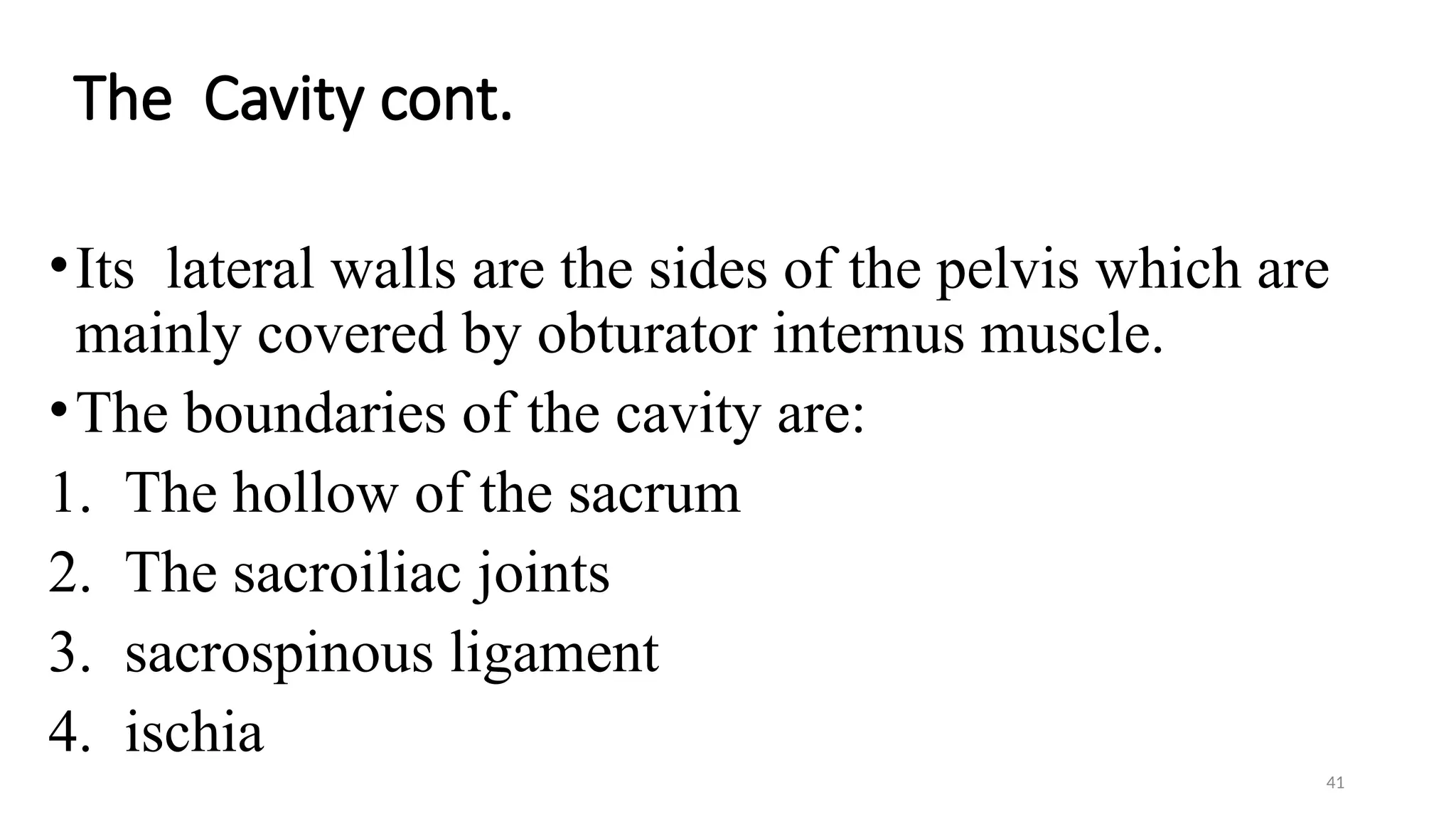 THE BONY PELVIS for all Midwifery students | PPTX