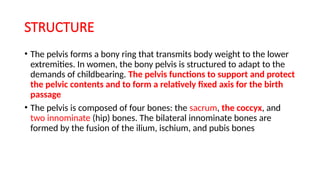 THE BONY PELVIS and it's significance.pptx