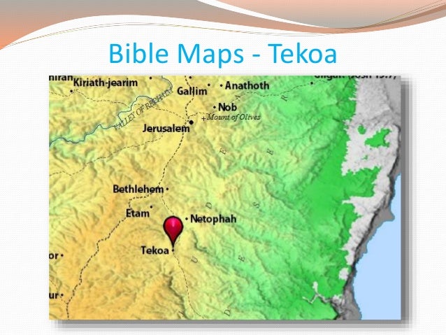 The Book of Amos and the Contemporary World - Part 1