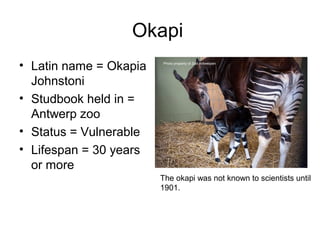 The Book of International Studbooks by David Brendan Twamley | PPT | Zoos & Aquariums | Attractions