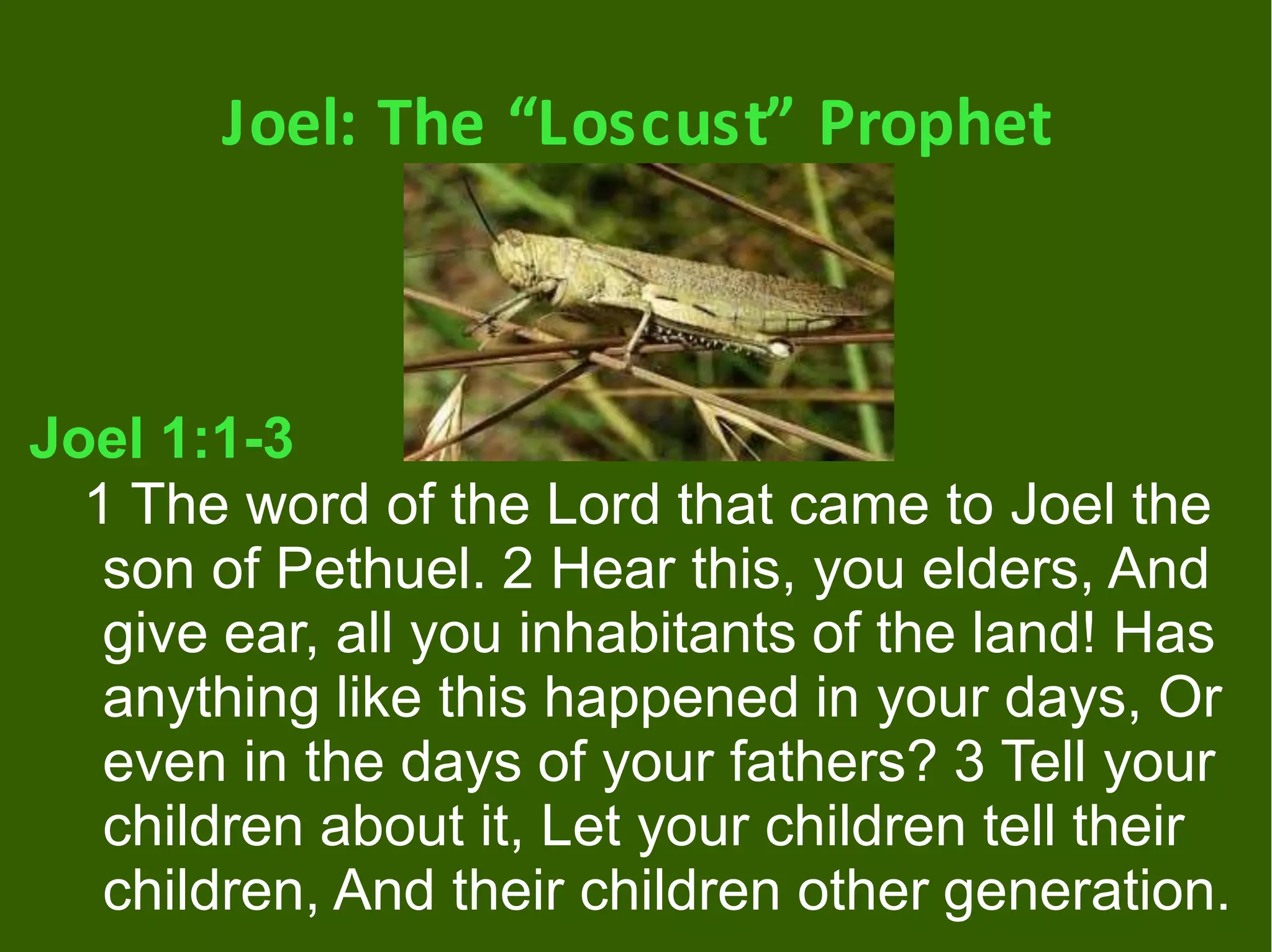 The book of Joel | PPTX