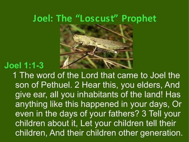 The book of Joel | PPTX