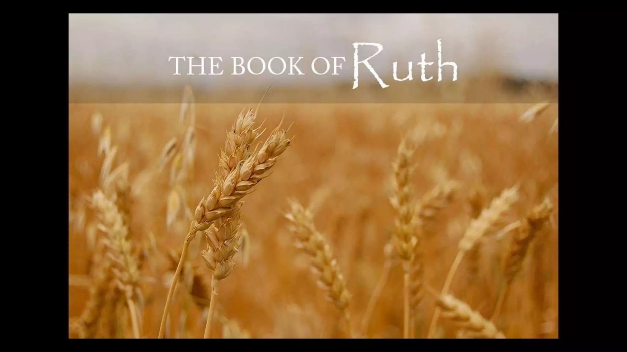 The book of ruth | PPTX