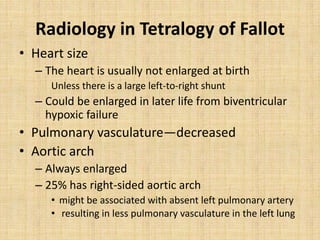 The boot shaped heart sign | PPTX