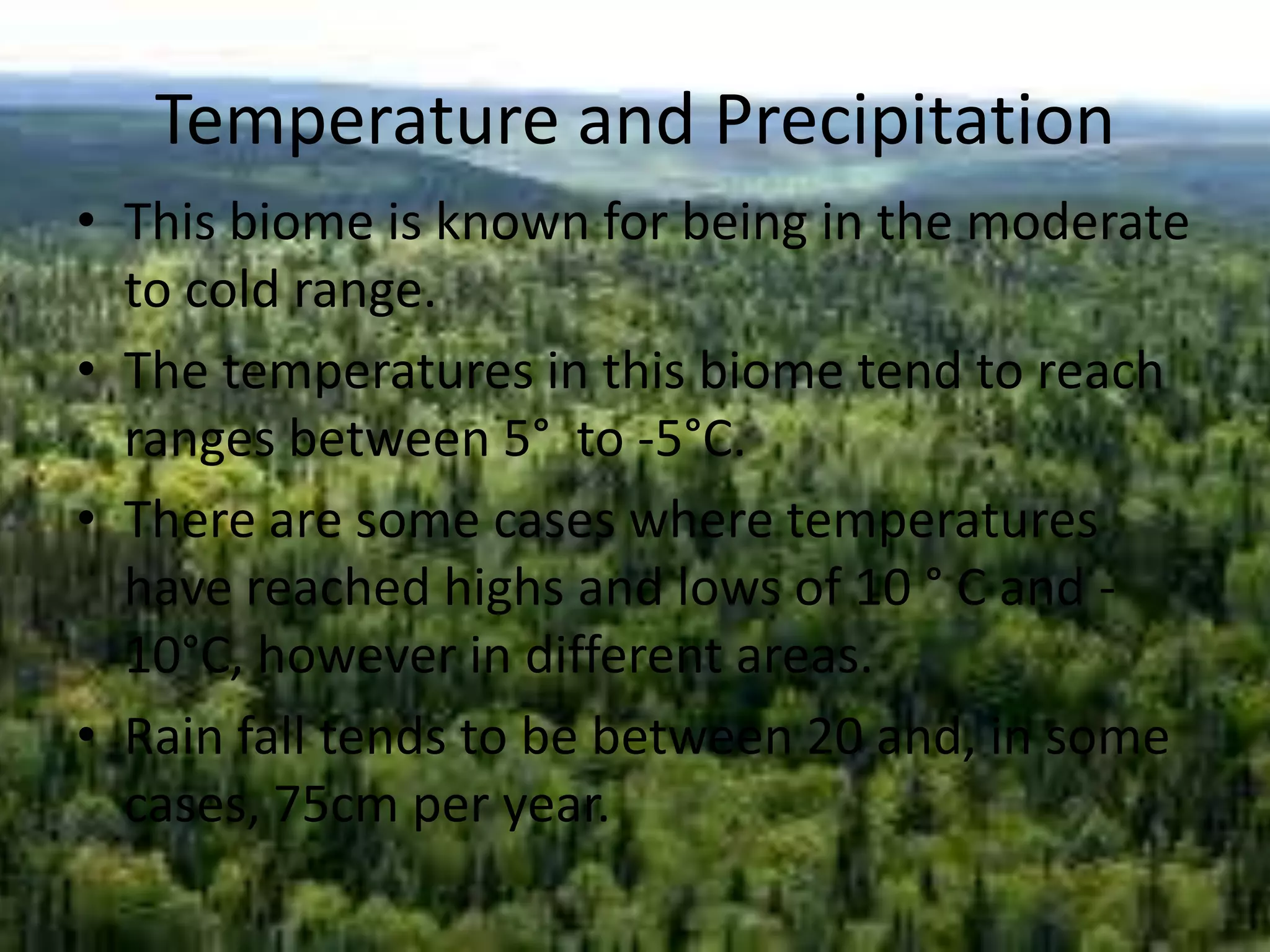 The boreal forest | PPTX