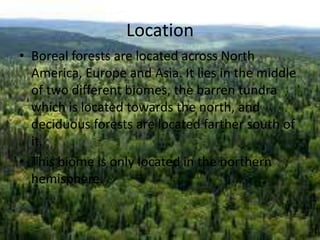 The boreal forest | PPT