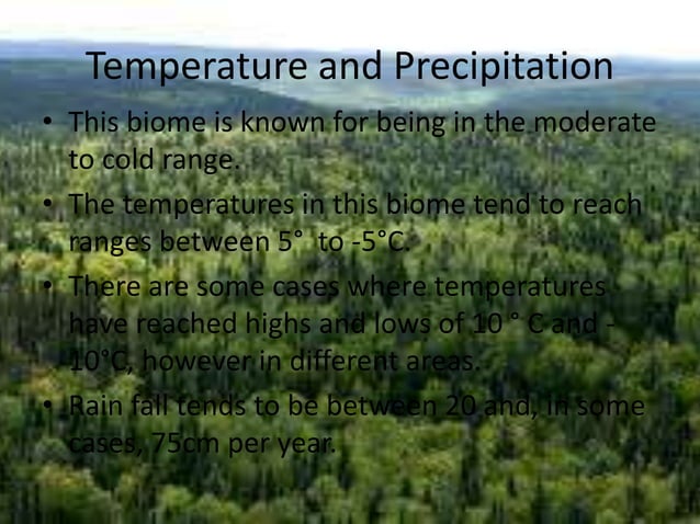 The boreal forest | PPT
